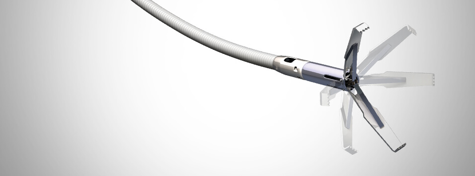 Endoscopy | Cook Medical