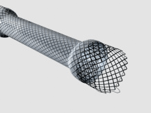 Divisions | Cook Medical