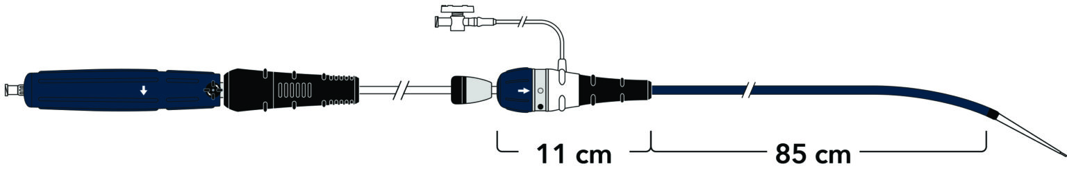 Zenith Alpha® Thoracic Endovascular Graft | Cook Medical
