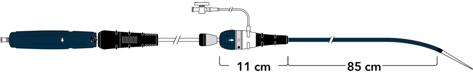 Zenith Alpha® Thoracic Endovascular Graft | Cook Medical