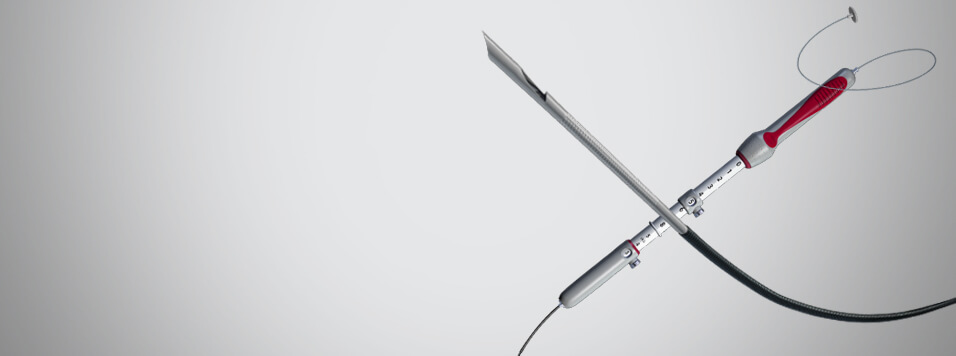 Endoscopy | Cook Medical